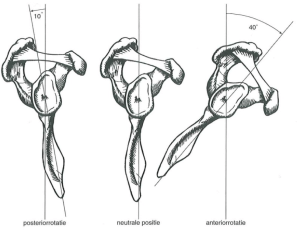 Impingement (SAPS) | JC Physiotherapy