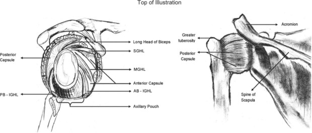 Evaluation – Sub Acromial Pain Syndrome (SAPS) | JC Physiotherapy