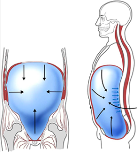 Breathing Pattern | JC Physiotherapy
