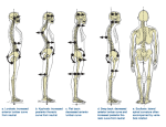 Postural Analysis | JC Physiotherapy